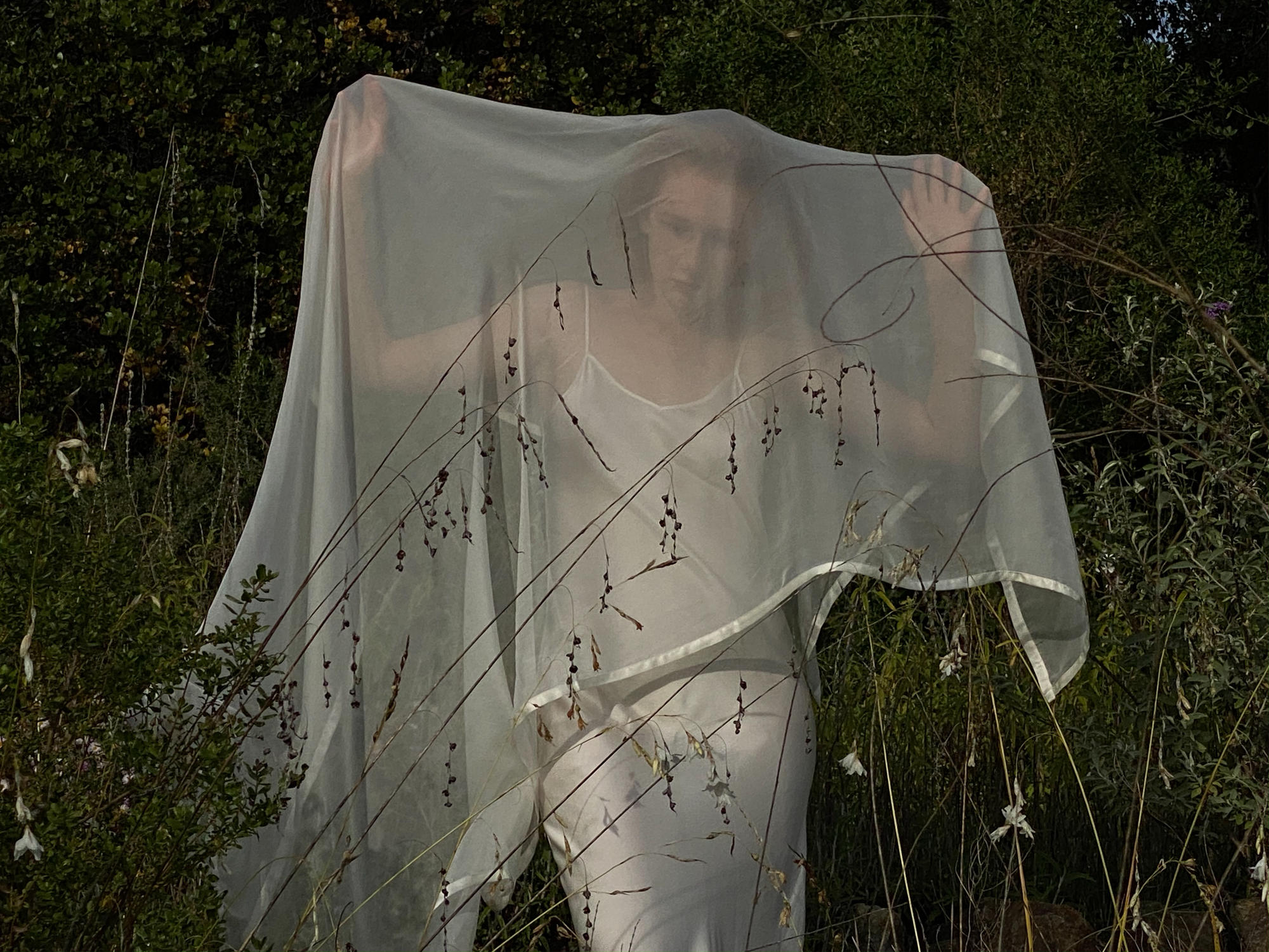 Lisa Maxwell Cochran